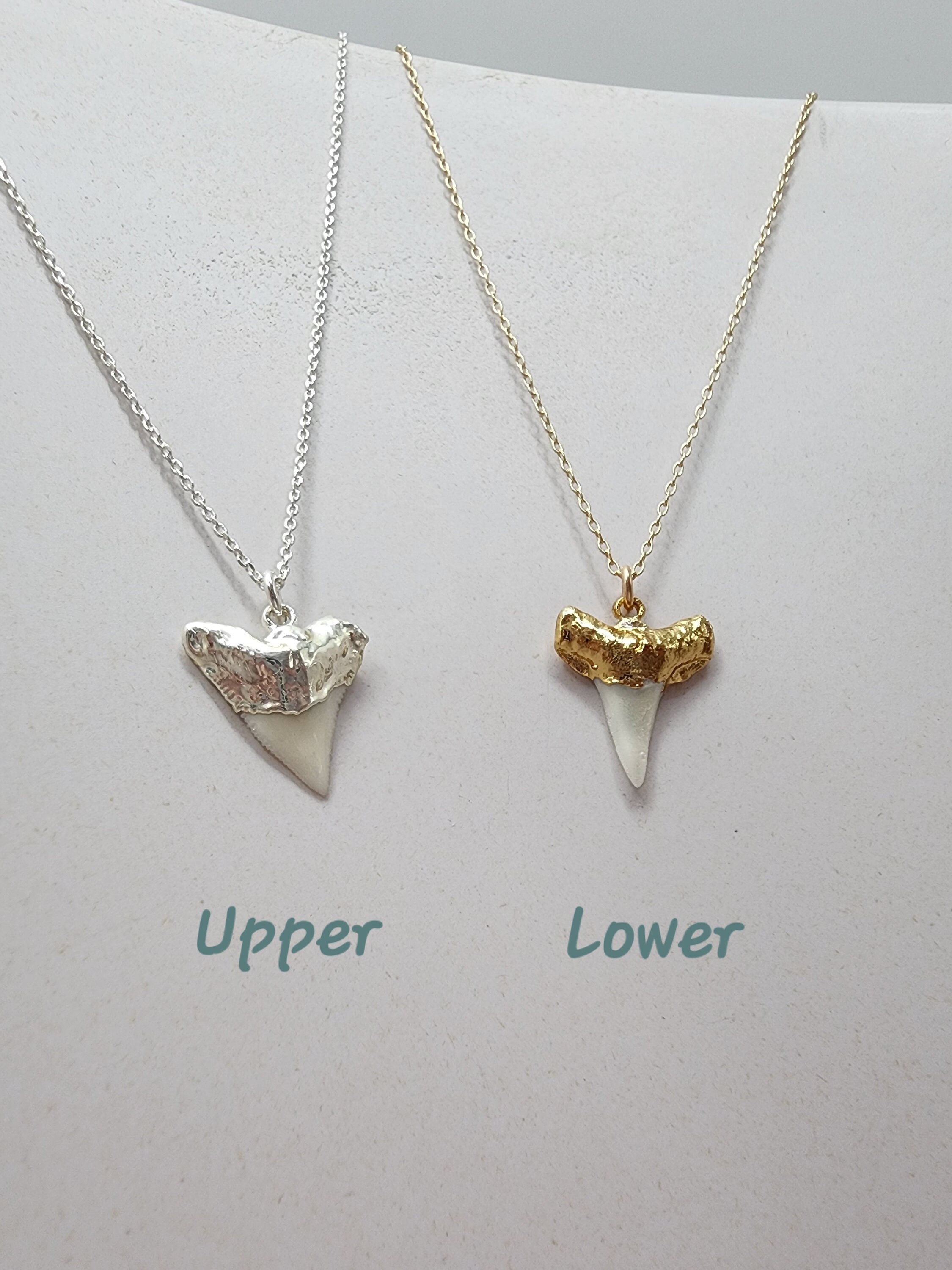 Boho Layered Necklace Set Shark Tooth Set of 3 Gold Necklace Set Three Necklaces Layering Necklaces Necklace Set Layered Set Dainty Etsy New Zealand