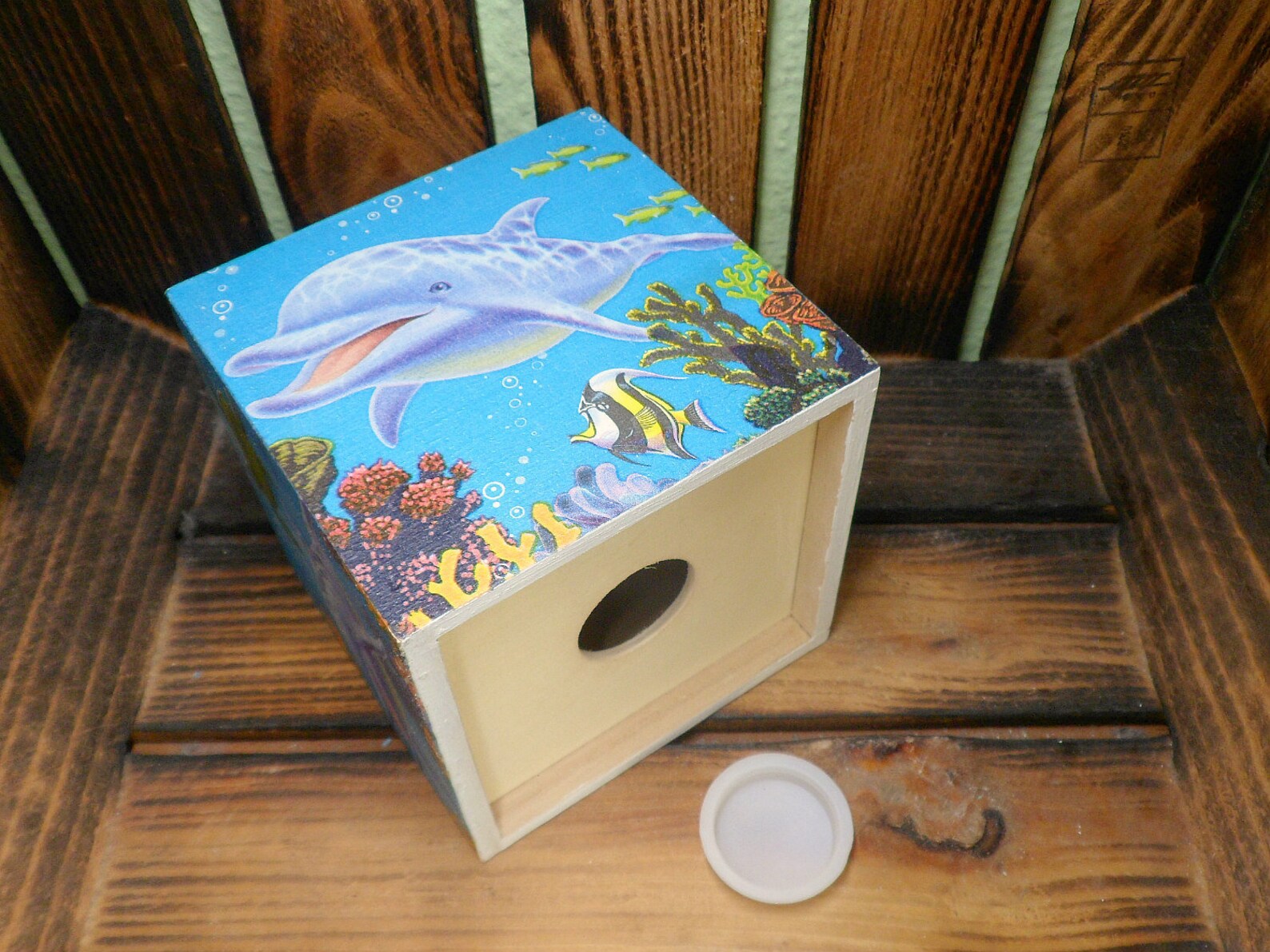 Money Box XL Dolphin Sea Turtle Personalized for Children 12 X - Etsy