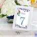 Aladdin and Jasmine Table Numbers, Disney Wedding Table Cards, Disney ...