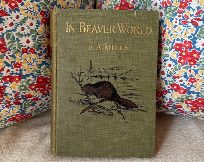 1913 in Beaver World by Enos A. Mills Illustrated & Photographs - Etsy