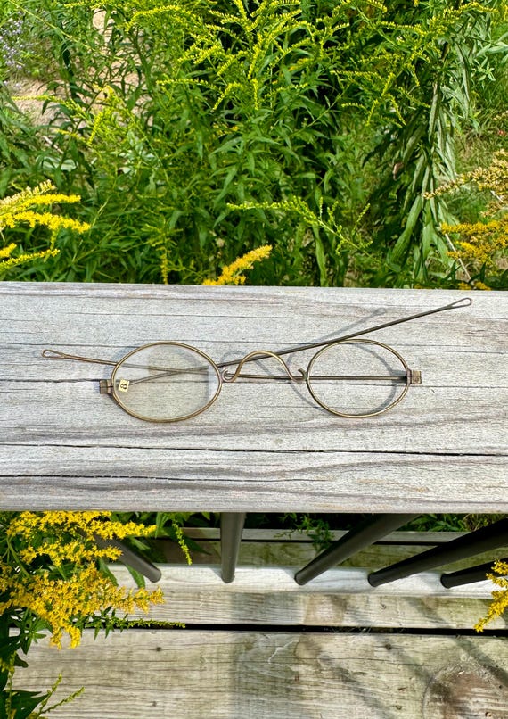 Antique 1800’s Wire Spectacles w/ Rusted Tin Case - Gem