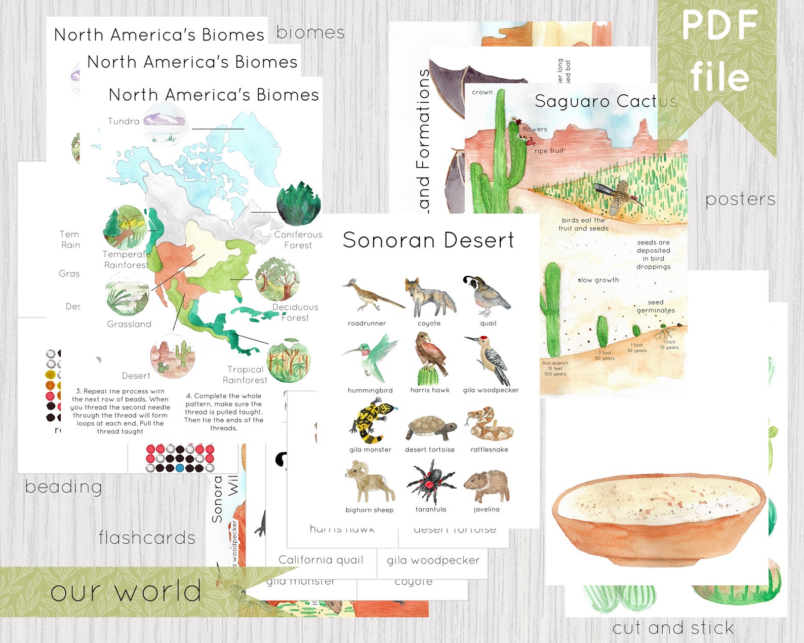 Desert Early Years Complete Curriculum Unit Preschool Instant Download ...