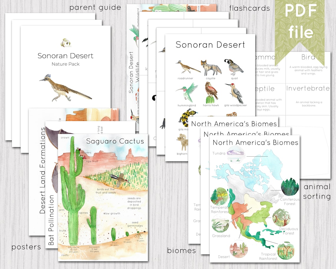 Sonoran Desert Nature Pack North American Nature Study - Etsy