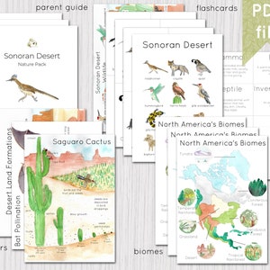Sonoran Desert Nature Pack | North American Nature Study | Instant ...