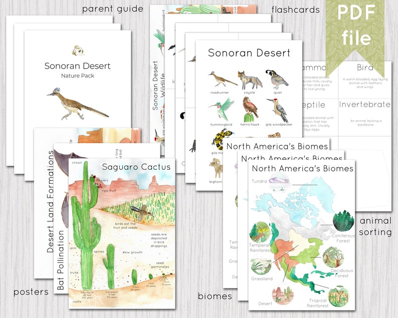 Sonoran Desert Nature Pack North American Nature Study - Etsy