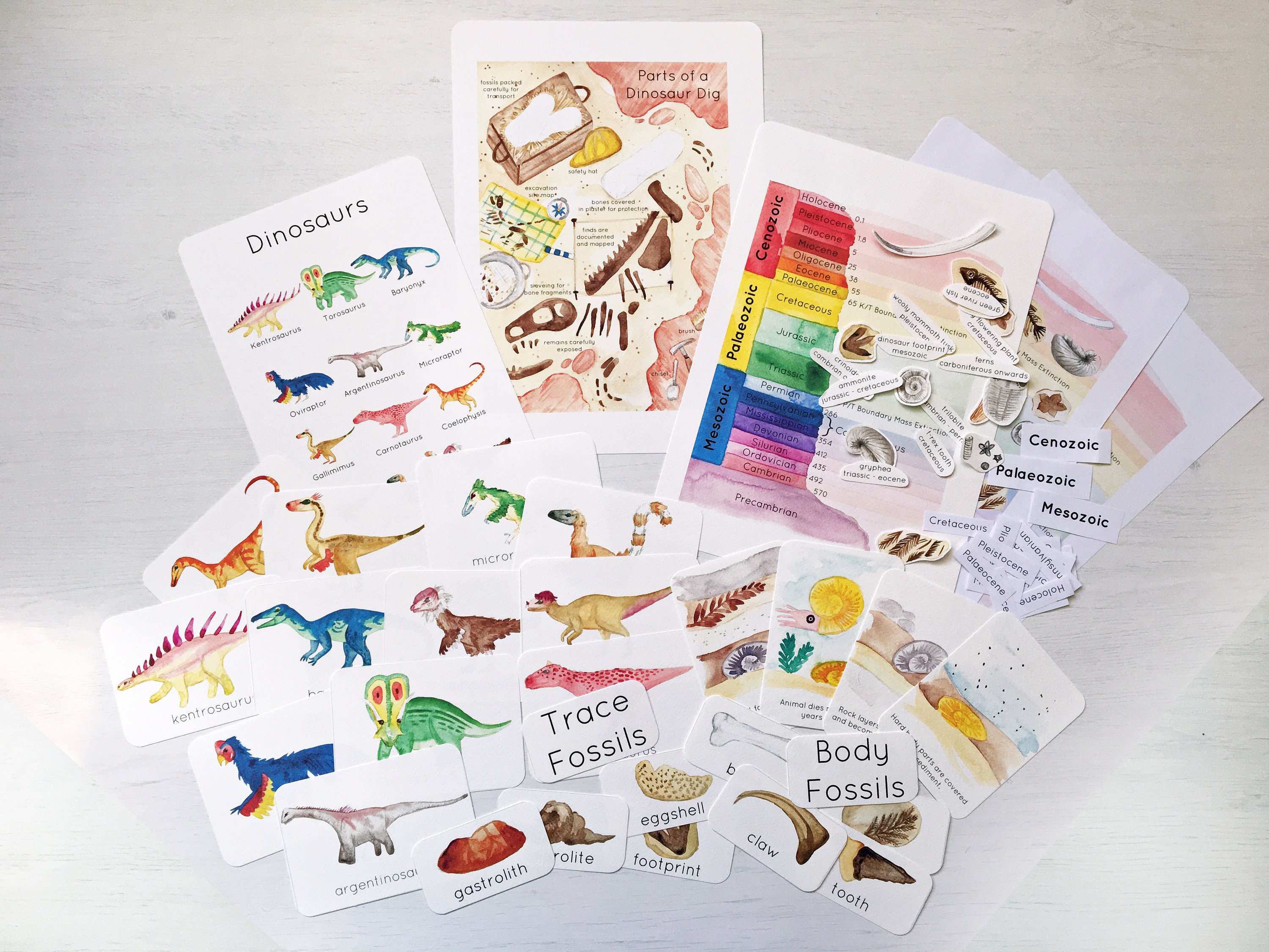 Dinosaur Nature Pack Palaeontology Science Pack DIGITAL - Etsy UK