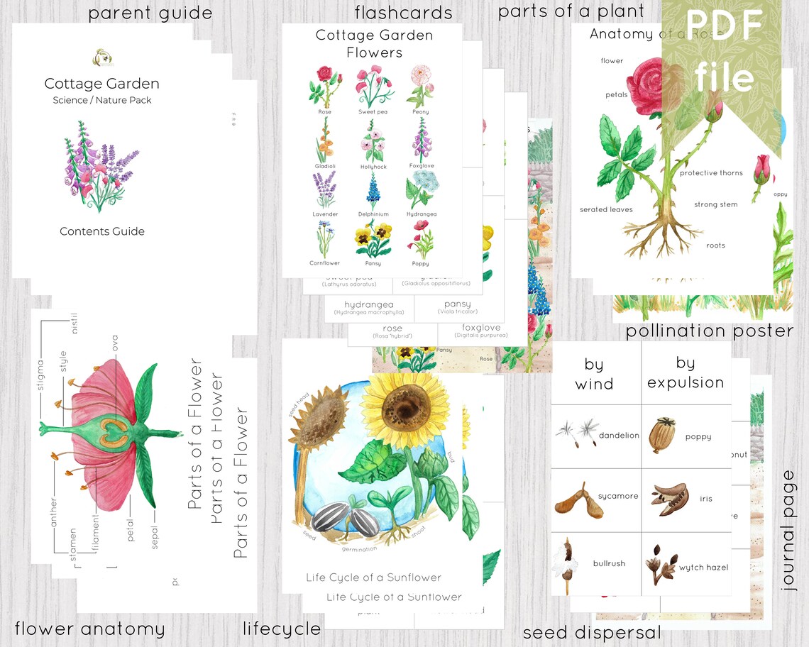 Cottage Garden Flowers Printable Science and Nature Study Pack | Etsy