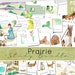 Life Cycle Bundle Access to All My Life Cycle Posters & Cards INSTANT ...