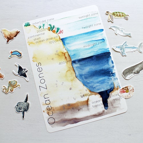 Ocean Zones Activity Layers of the Ocean | Etsy