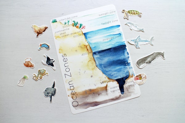 Types of Volcanoes Nomenclature / 3-part Cards / Montessori - Etsy Canada