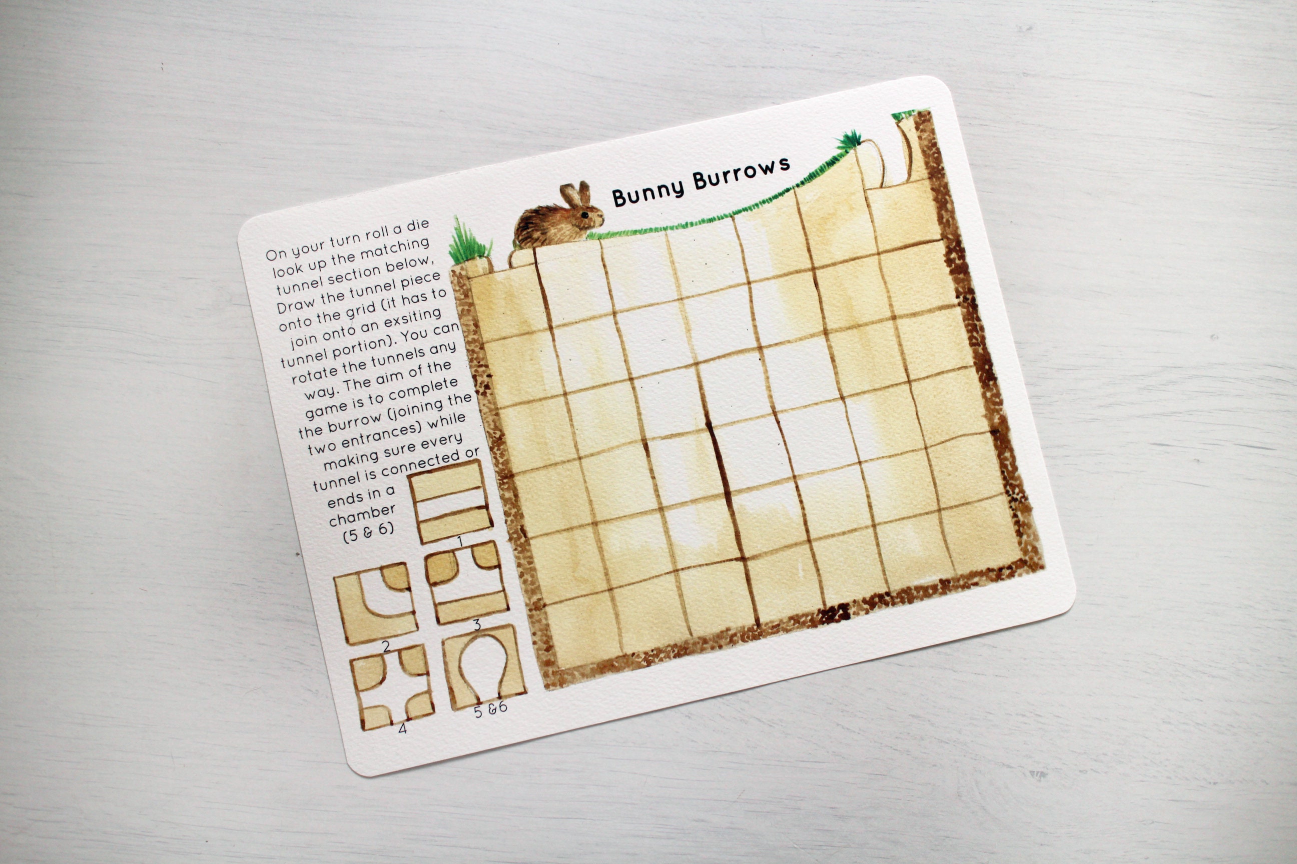 Rabbit & Lagomorph Nature Study Pack European Rabbit | Etsy UK