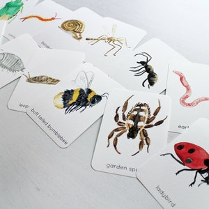 Minibeast Nature Pack | Watercolour Nature Journaling | Children's ...