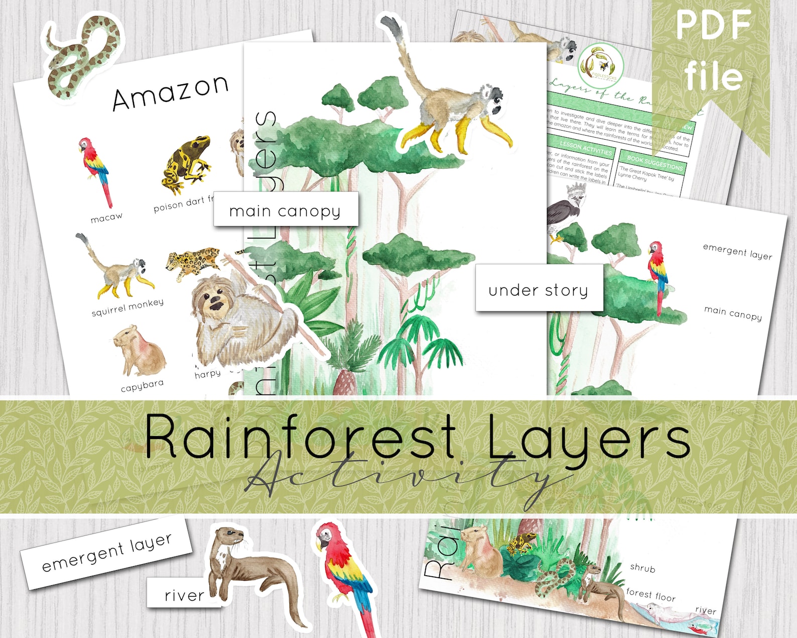 Rainforest Layers Printable Activity Instant Download - Etsy