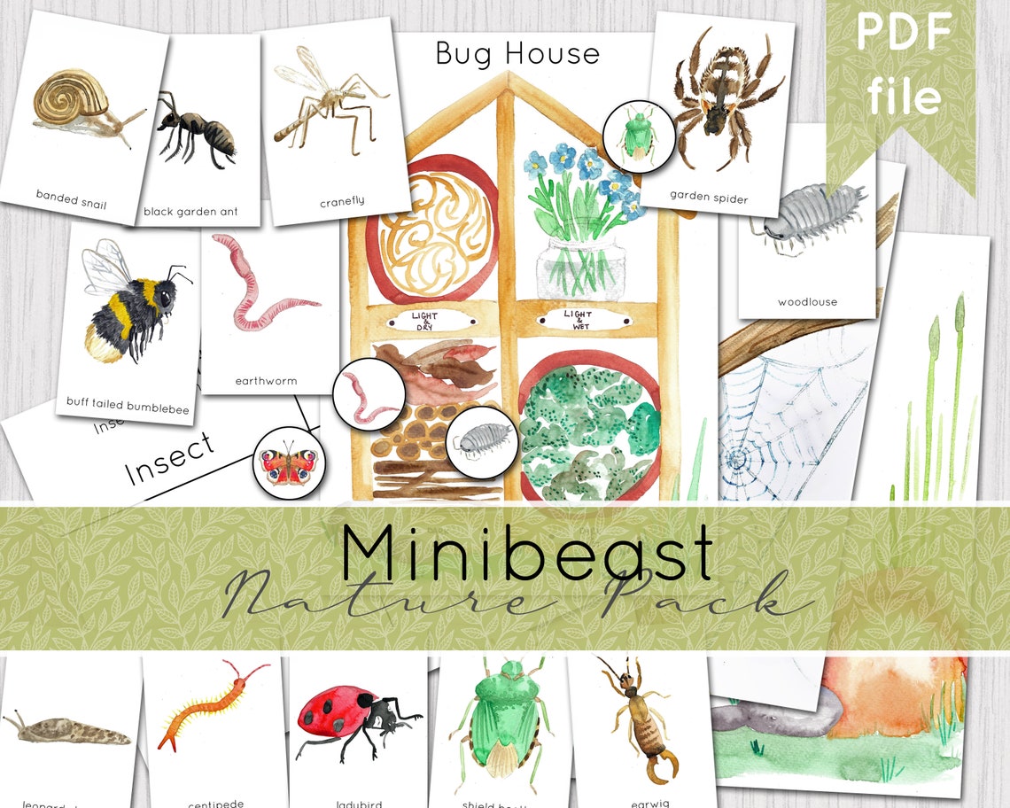 Minibeast Nature Pack | Watercolour Nature Journaling | Children's ...