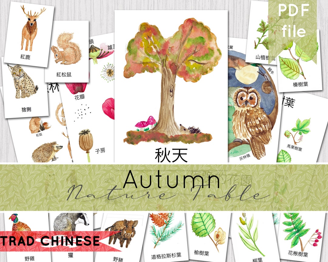 Traditional CHINESE Autumn Resources Printable Poster & - Etsy
