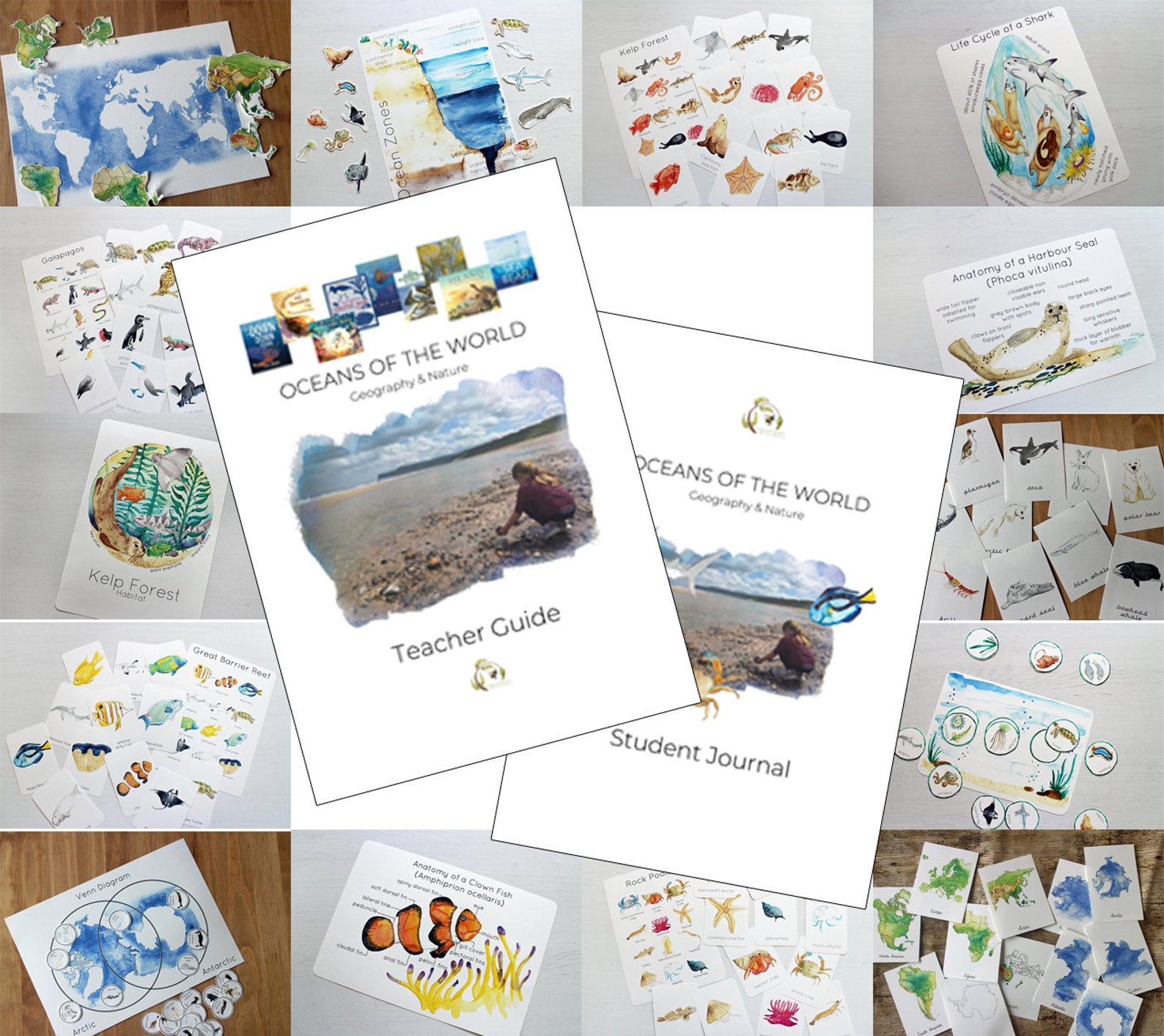 Oceans of the World Geography Curriculum Parent Guide - Etsy