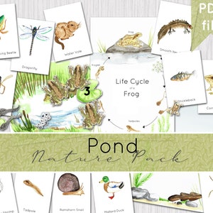 Frog Nature Pack Printable Nature Study Includes 1 Poster - Etsy