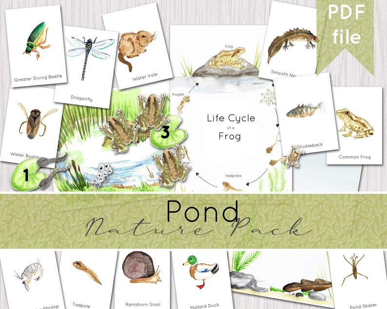 Frog Nature Pack Printable Nature Study Includes 1 Poster | Etsy UK