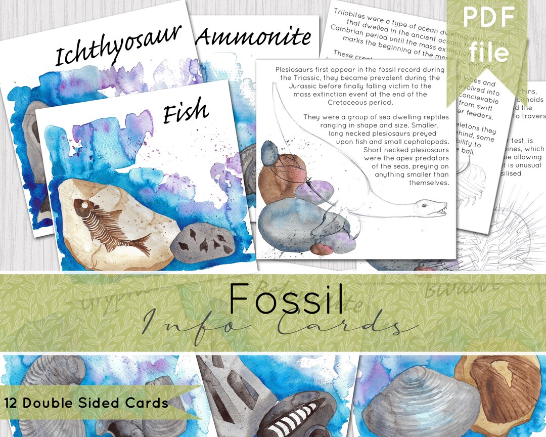 Fossil Info Cards - Double Sided | Instand Download | DIGITAL DOWNLOAD ...