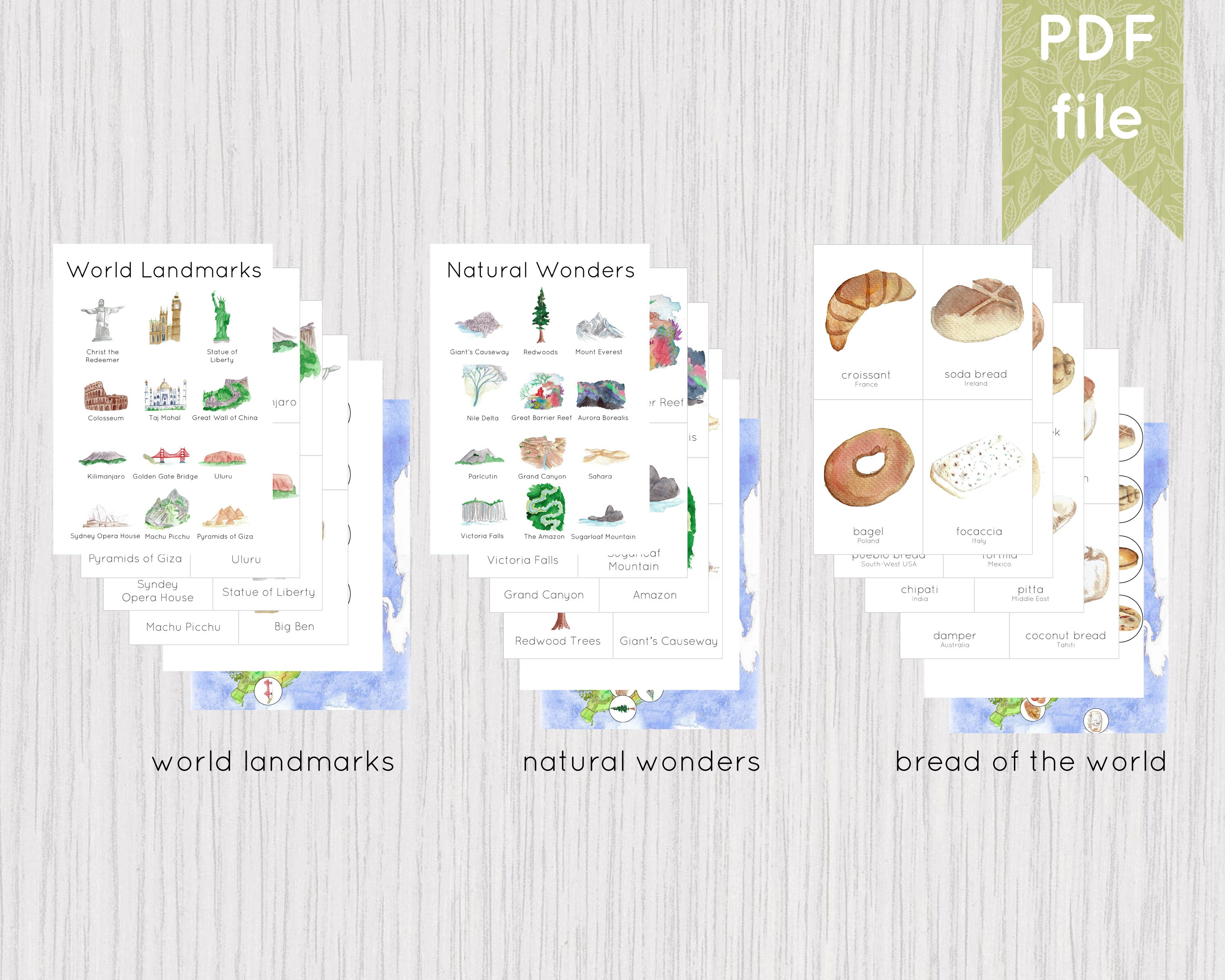 Geography Map Drill Biomes & Culture Printable Resources INSTANT ...