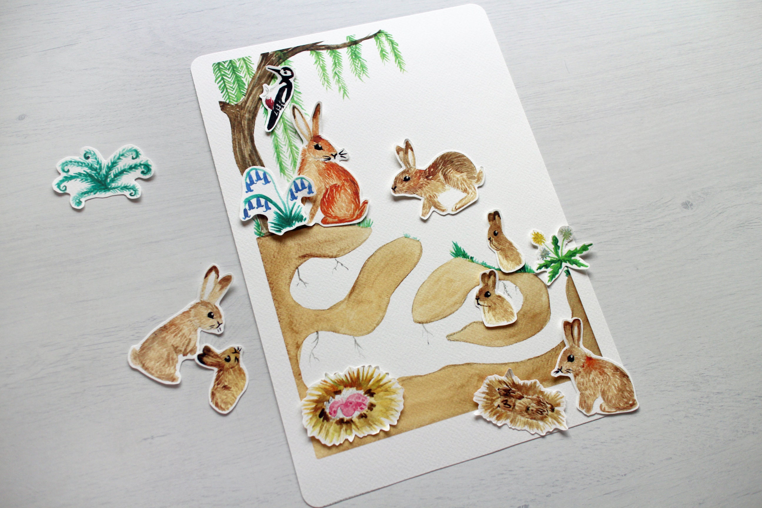 Rabbit & Lagomorph Nature Study Pack European Rabbit | Etsy UK