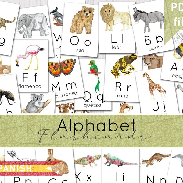 Alphabet Flashcards - Etsy