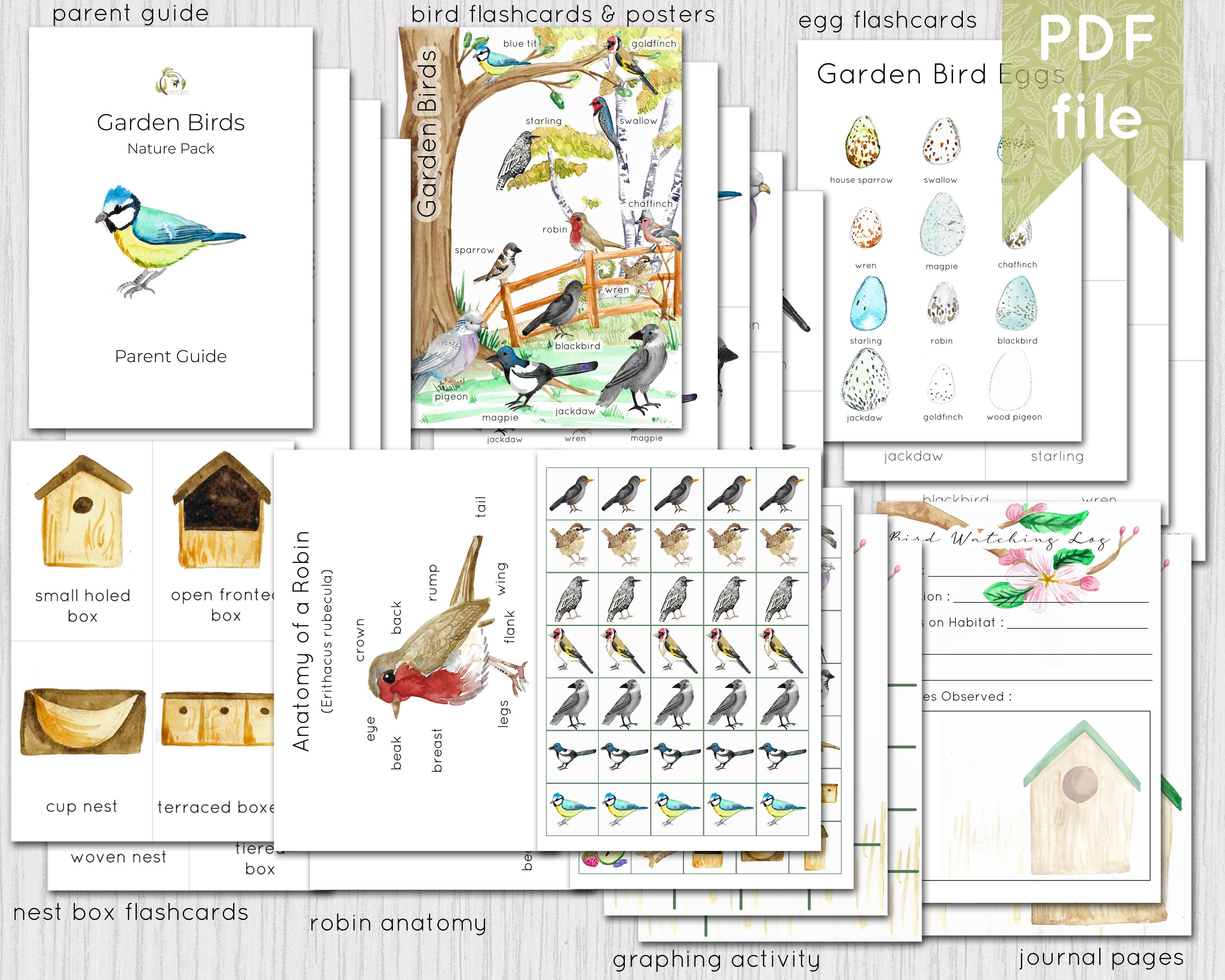 Garden Birds Nature Study Pack British Birds Printable - Etsy UK