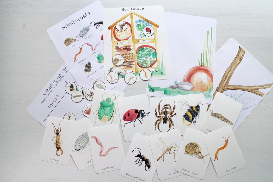 Minibeast Nature Pack Watercolour Nature Journaling | Etsy UK