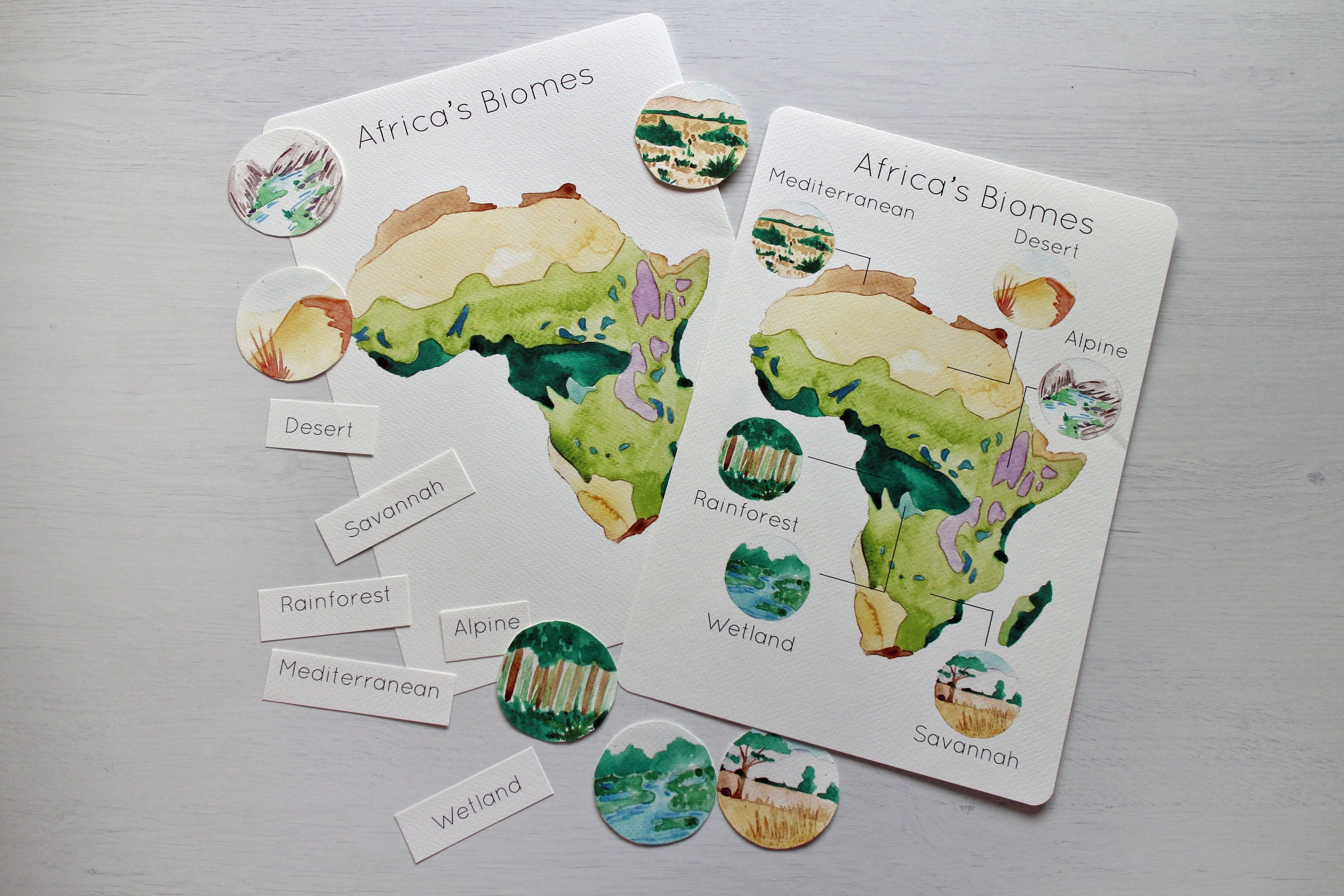 Biomes Map For Kids