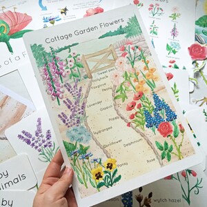 Cottage Garden Flowers Printable Science and Nature Study Pack | Spring ...