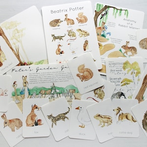 Beatrix Potter Literature Study Pack | Beatrix Potter Quotes | Peter ...