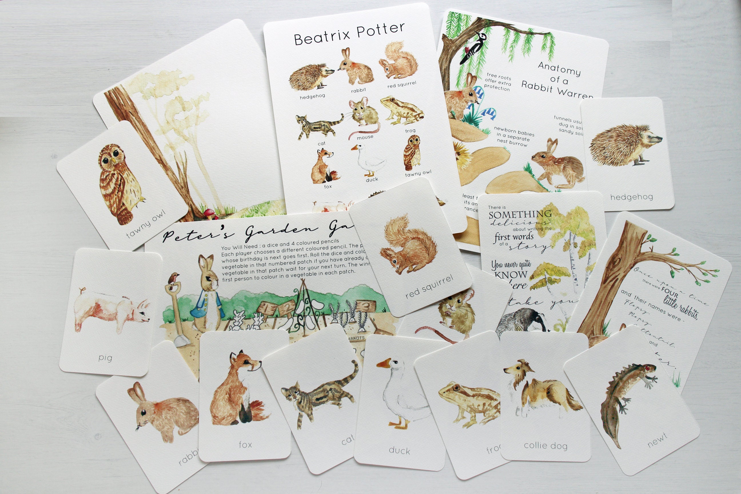 Beatrix Potter Literature Study Pack | Beatrix Potter Quotes | Peter ...