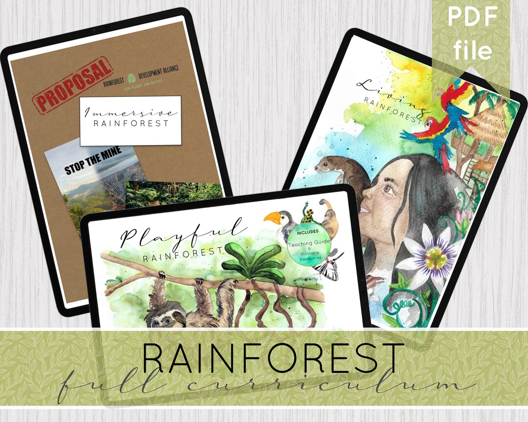 Full Rainforest Curriculum Playful, Living and Immersive Education ...