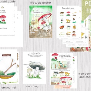 Fungi Nature Pack | Autumn Woodland | Nature Study | DIGITAL DOWNLOAD ...