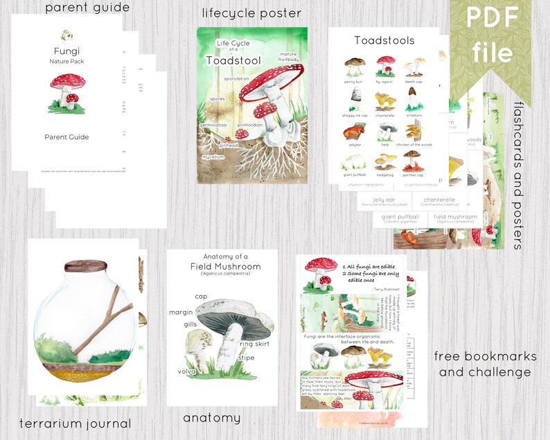 Fungi Nature Pack | Autumn Woodland | Nature Study | DIGITAL DOWNLOAD ...