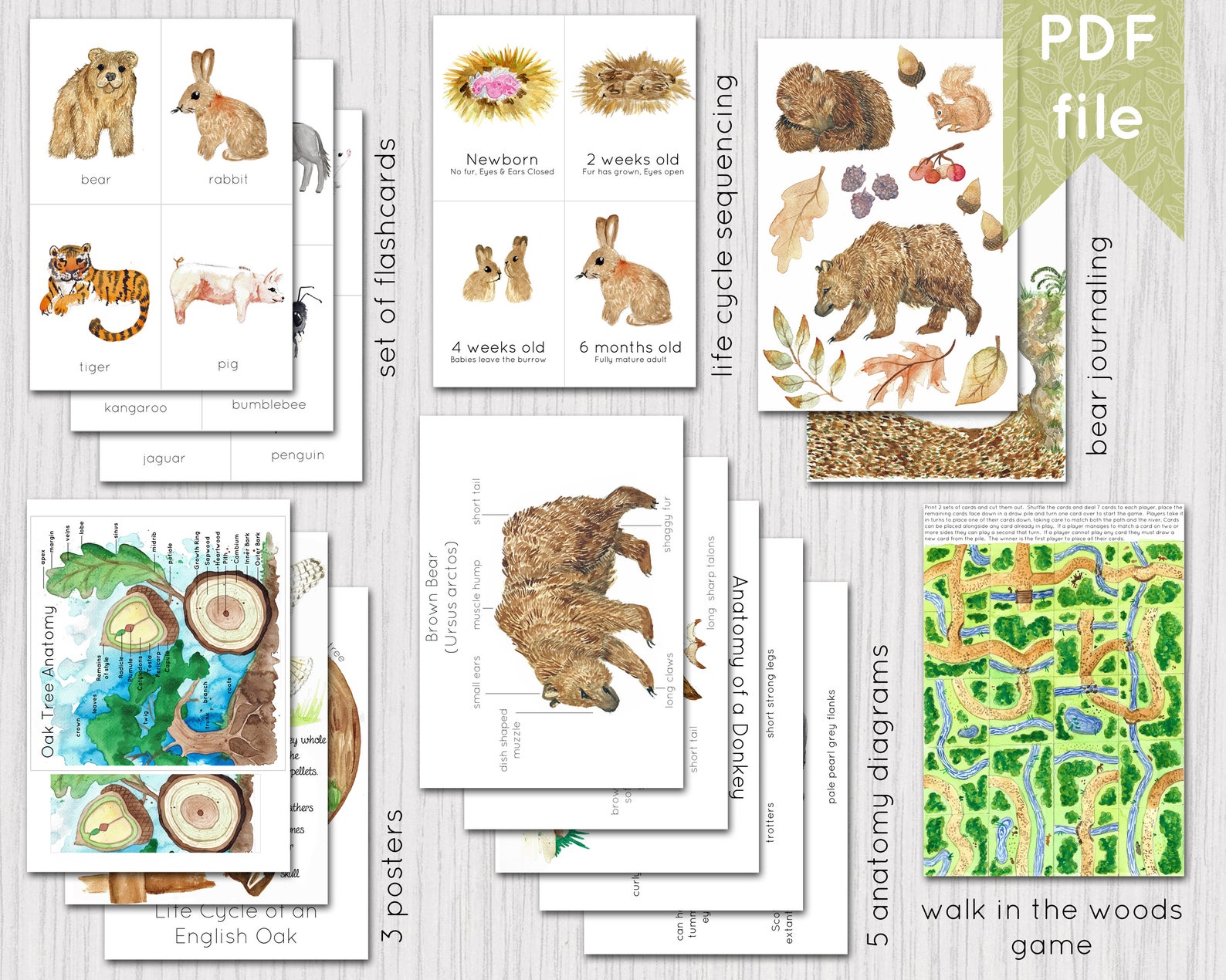 Winnie the Pooh Literature Study Pack Winnie the Pooh Home | Etsy