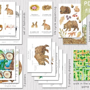 Winnie the Pooh Literature Study Pack | Winnie the Pooh Home School ...
