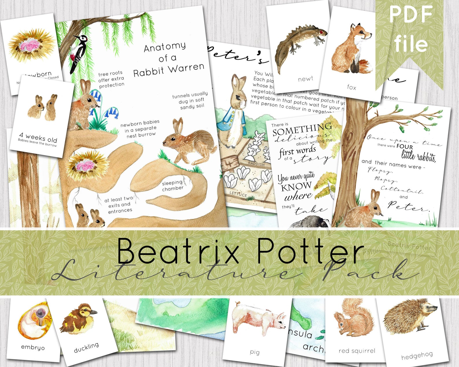 Beatrix Potter Literature Study Pack Beatrix Potter Quotes - Etsy