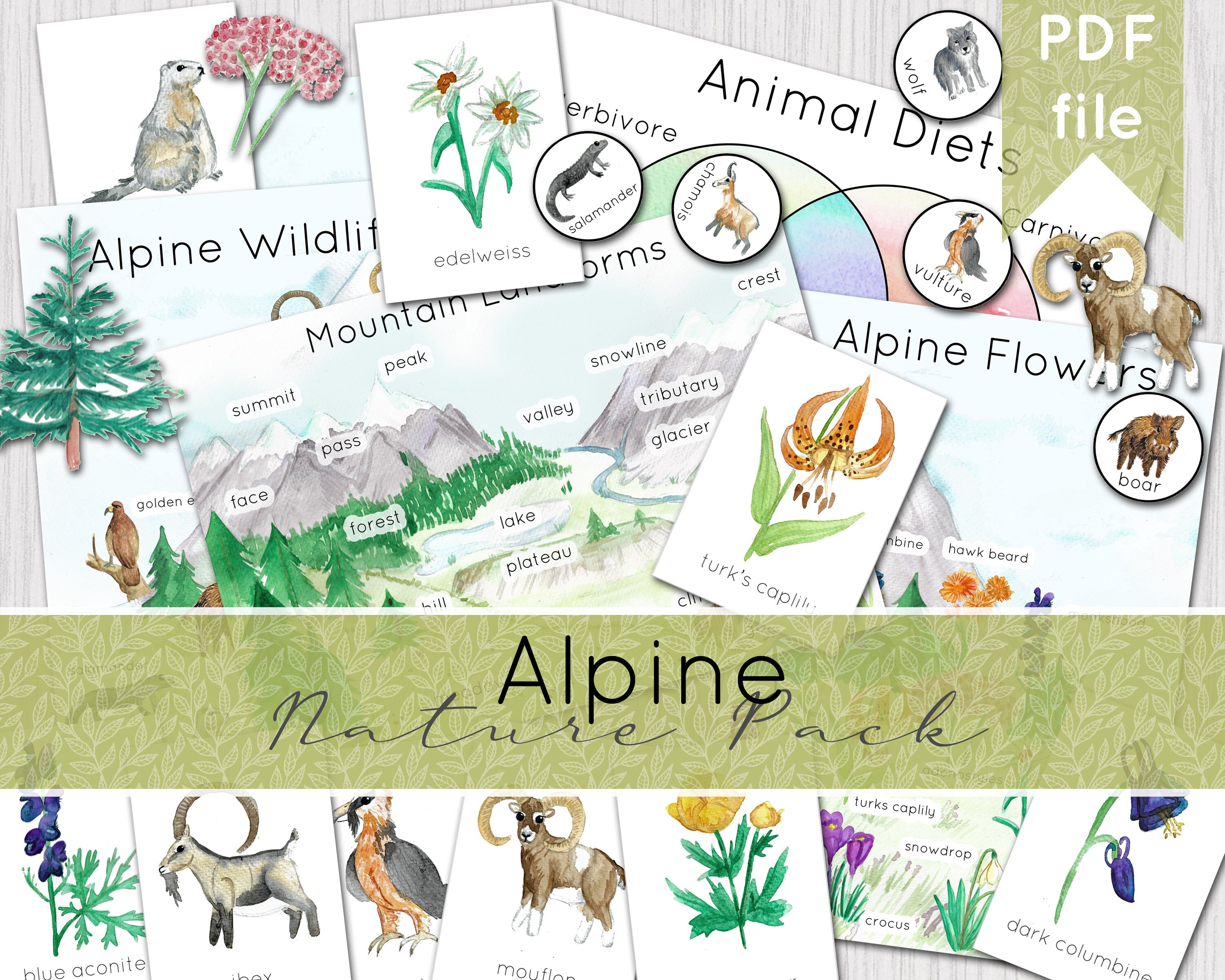 Alpine Nature Pack | Mountain Nature Study | Instant Download - Etsy