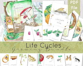 Life Cycle Posters - Etsy
