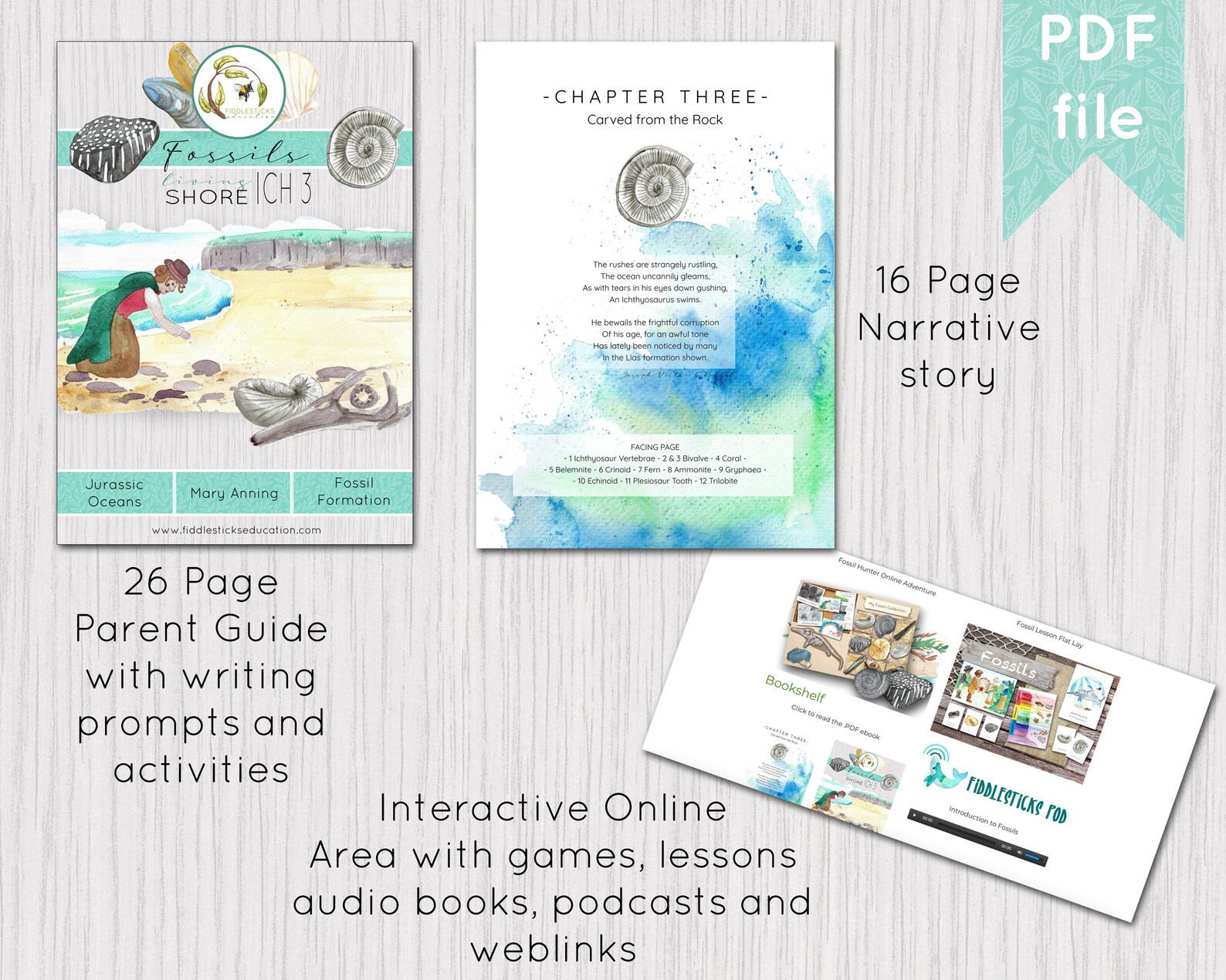 Fossils Living SHORE Ch 3 Complete Homeschool Nature Study | Etsy