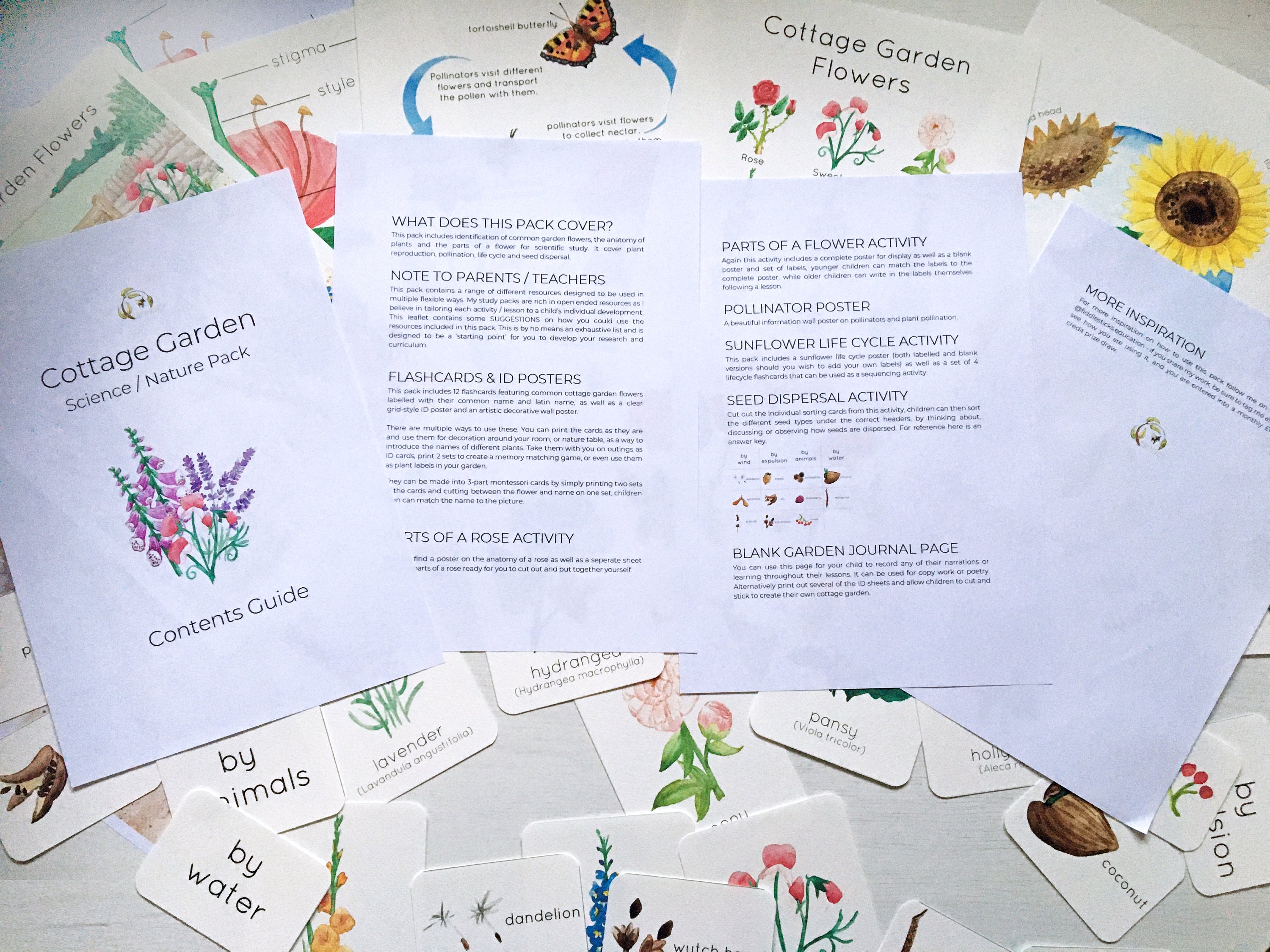 Cottage Garden Flowers Printable Science and Nature Study Pack | Spring ...