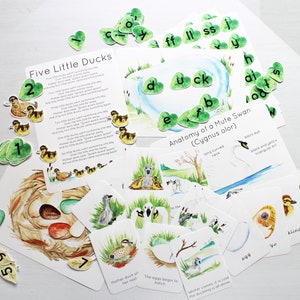 Ugly Duckling Traditional Tale Early Learning Resource Pack | Ugly ...