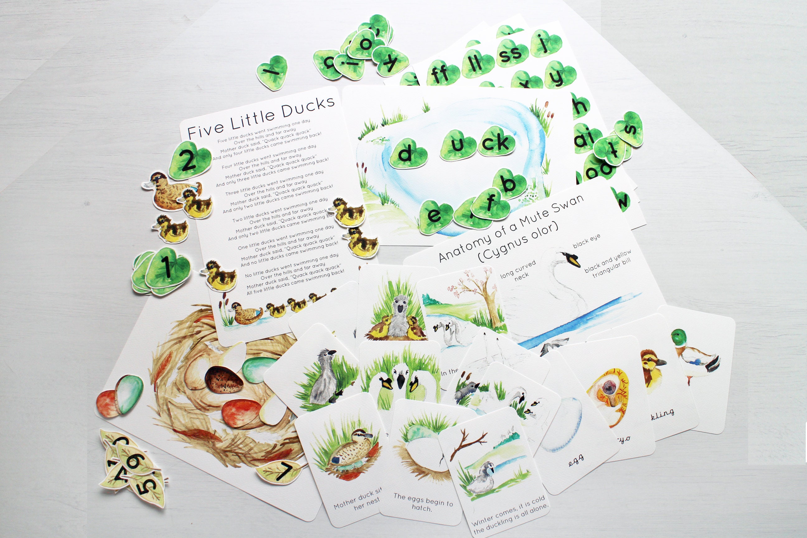 Ugly Duckling Traditional Tale Early Learning Resource Pack - Etsy