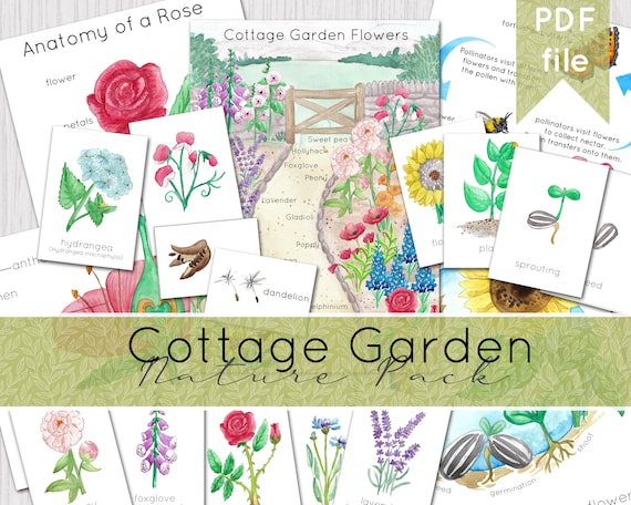 Cottage Garden Flowers Printable Science and Nature Study Pack - Etsy UK