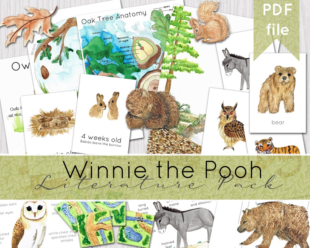 Winnie the Pooh Literature Study Pack | Winnie the Pooh Home School ...