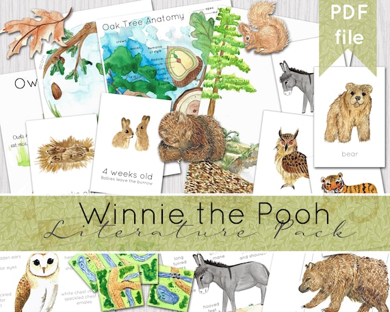 Winnie the Pooh Literature Study Pack Winnie the Pooh Home | Etsy