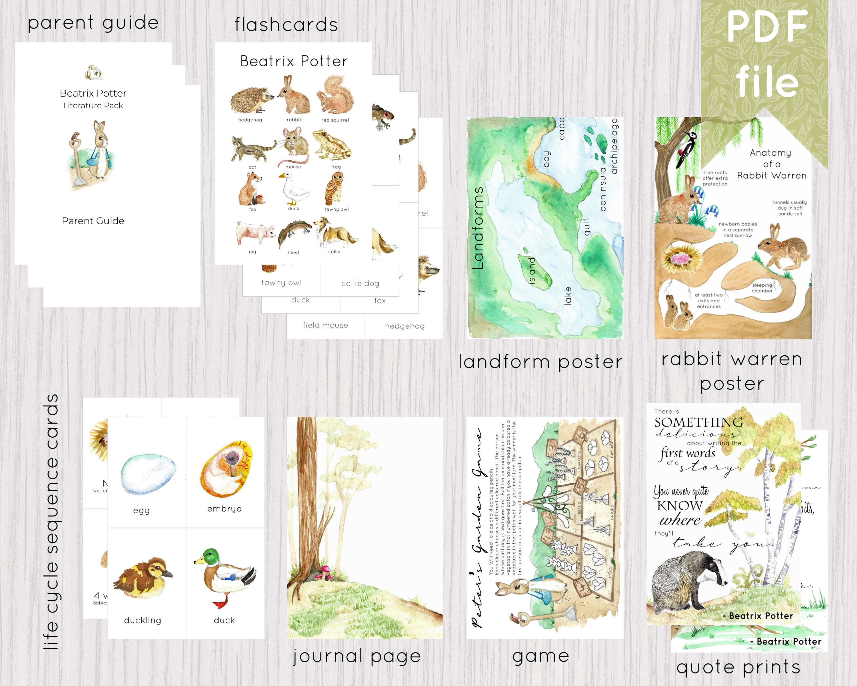 Beatrix Potter Literature Study Pack | Beatrix Potter Quotes | Peter ...