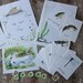 Frog Nature Pack Printable Nature Study Includes 1 Poster - Etsy