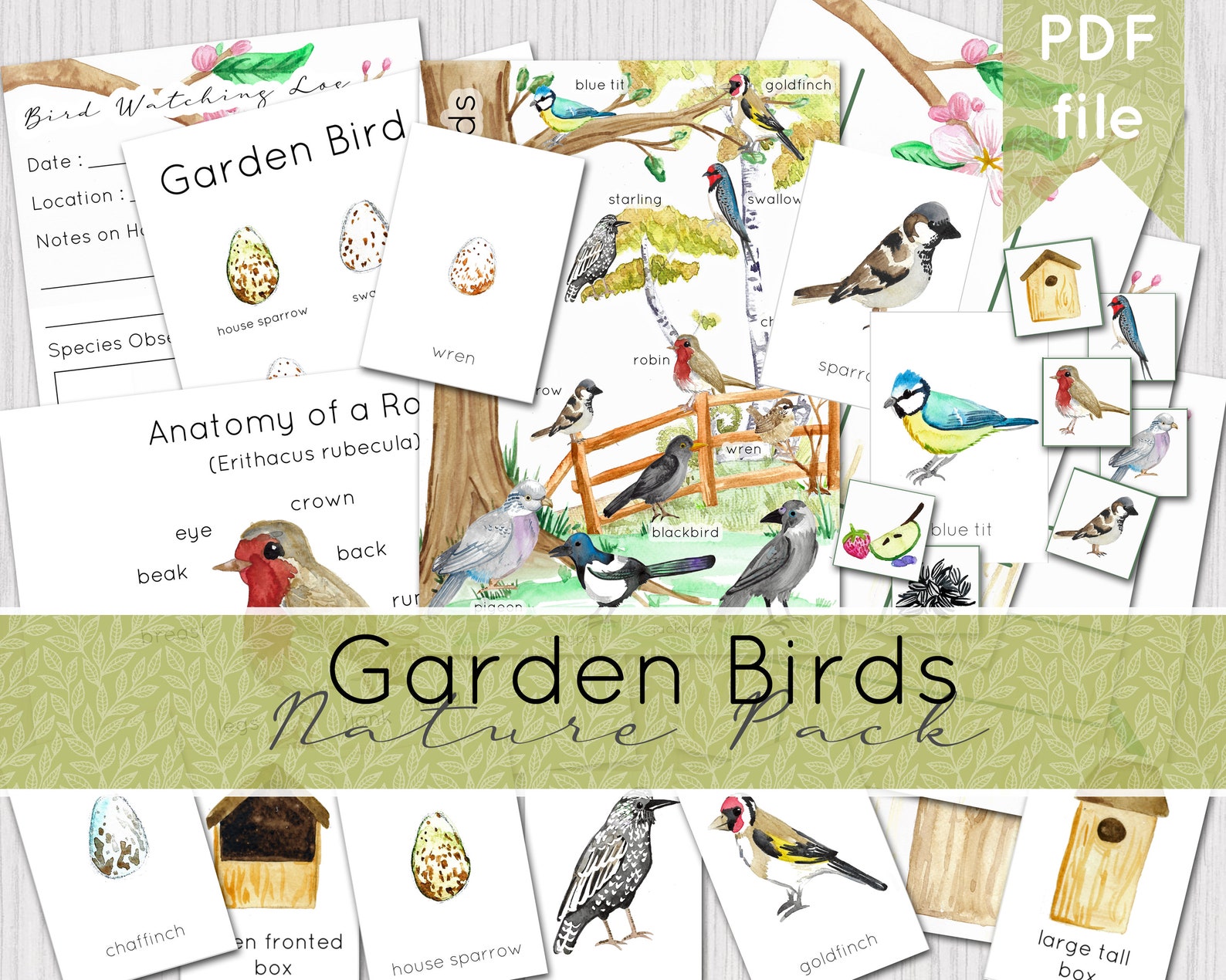 Garden Birds Nature Study Pack British Birds Printable - Etsy UK